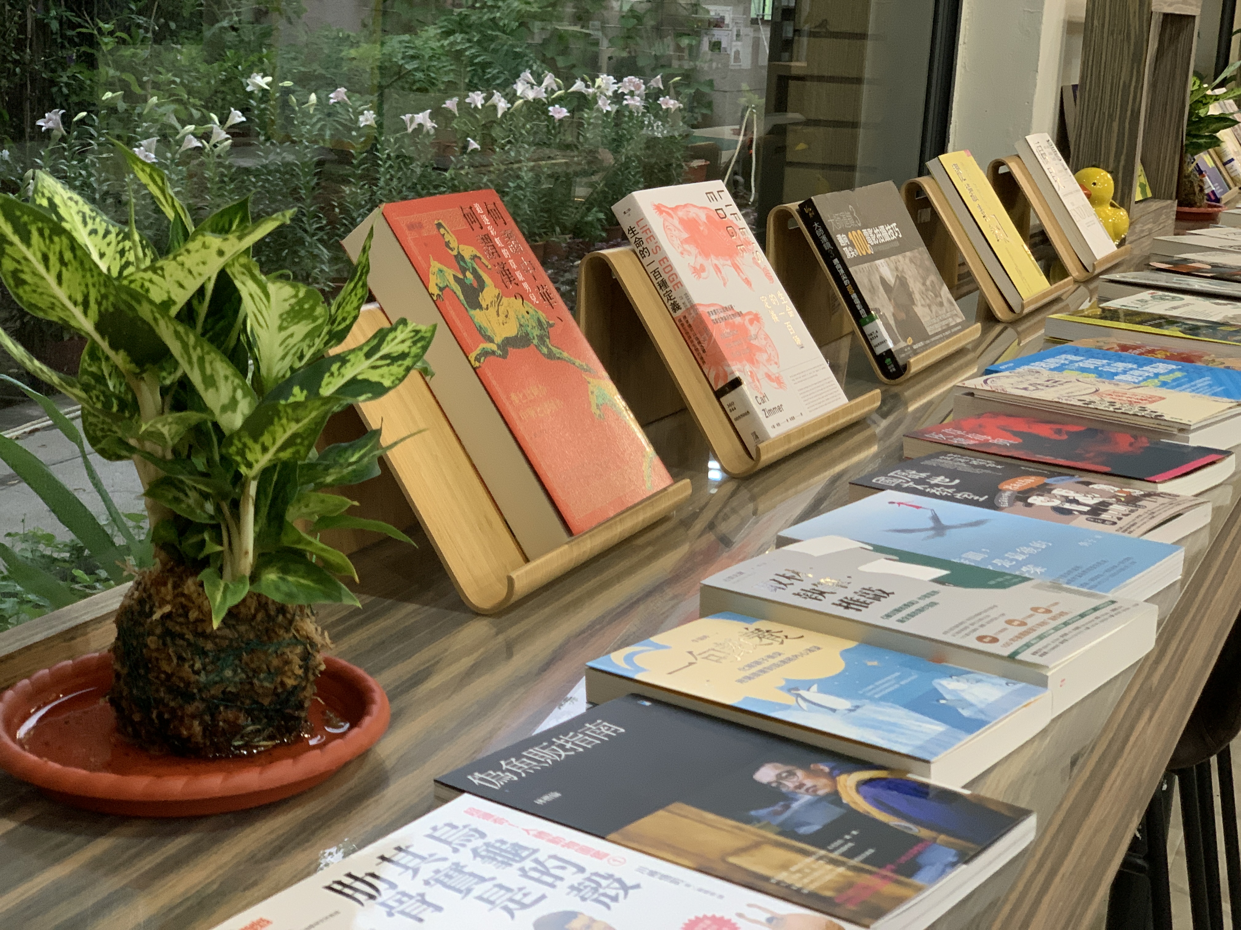 【重要】第二學期「新書書展」開跑囉!! 一起來墨香苑閱讀好書~ - 圖書館 - hcsh